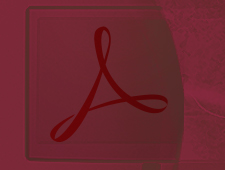 Update adobe flash player to avoid zero day vulnerability attack